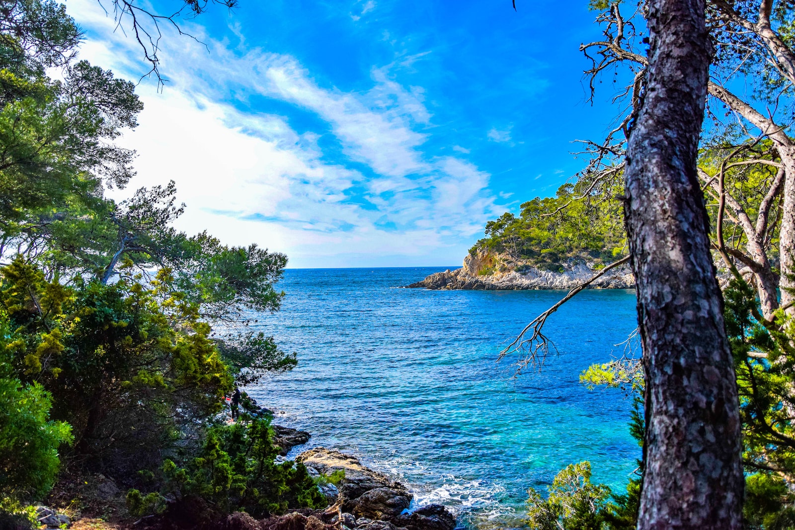 Plongée en Méditerranée : les plus beaux endroits à explorer